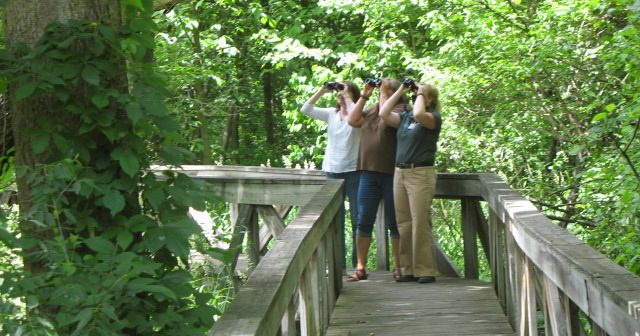 Spicer Lake Nature Preserve | Visit South Bend Mishawaka
